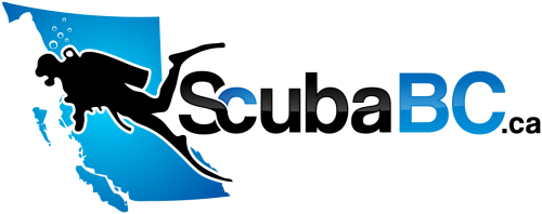 Scuba Lessons | Learn To Scuba Dive In British Columbia